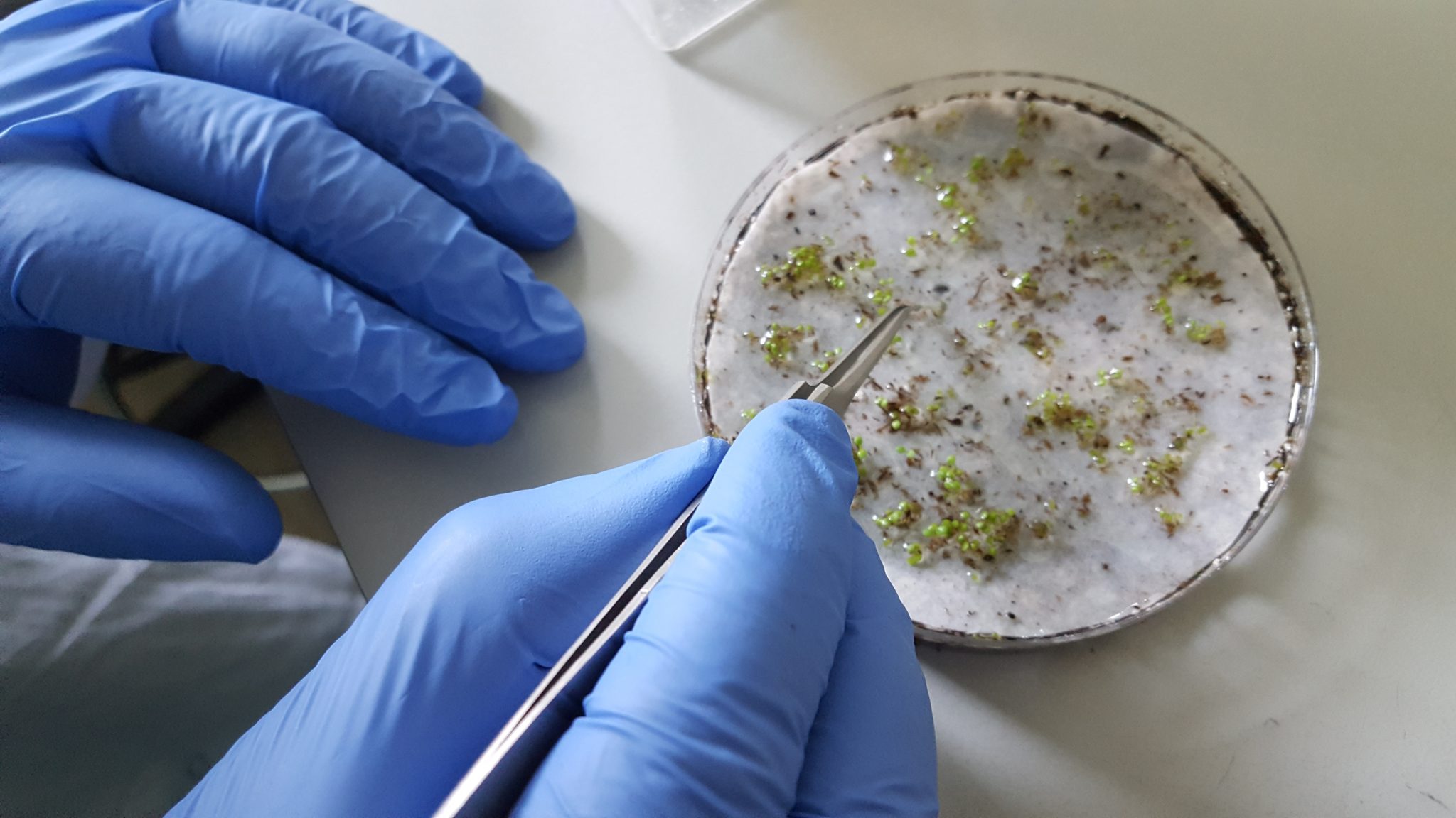 Institute of Soil, Water and Environmental Sciences - Volcani Website