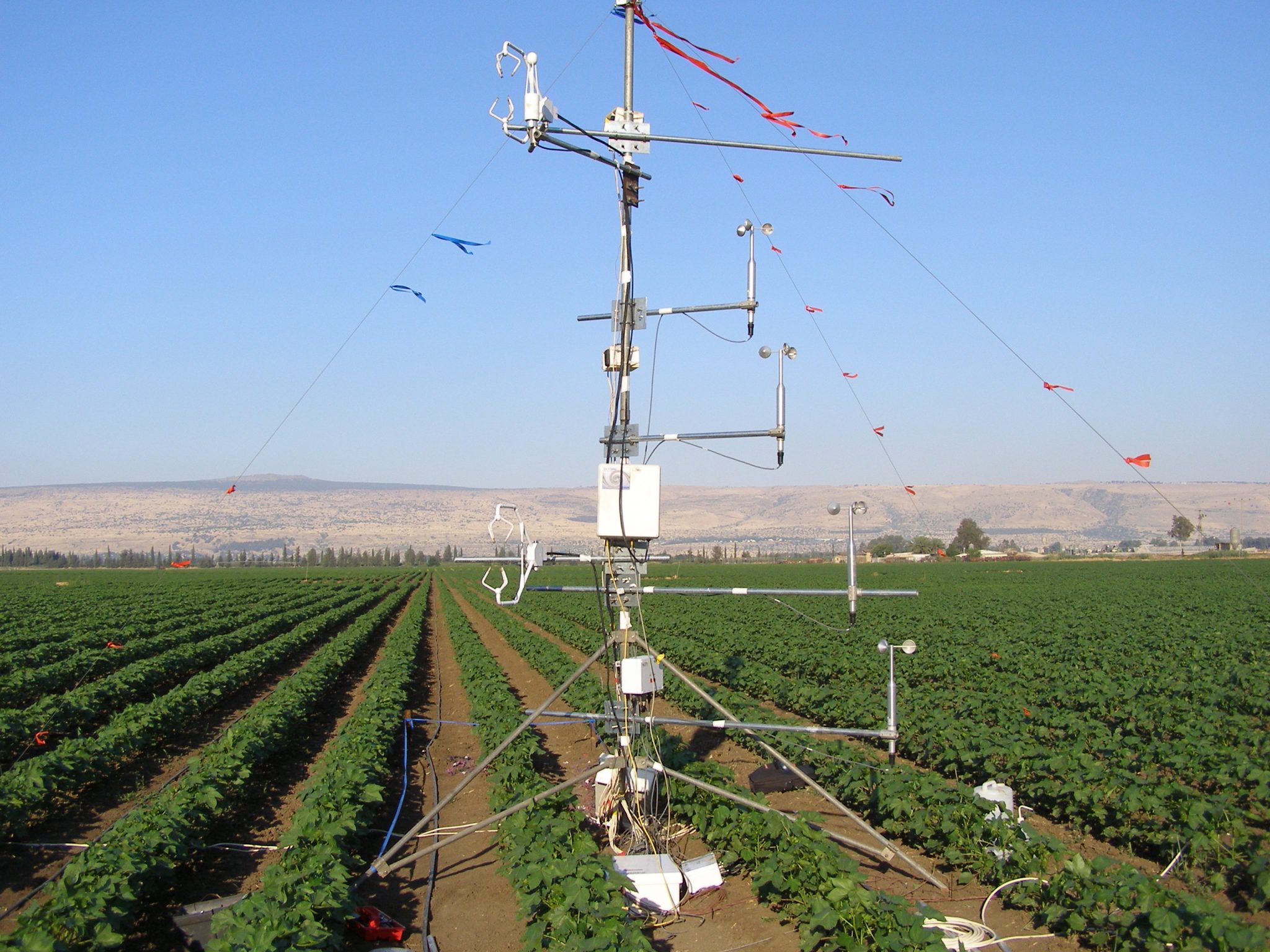 Home - Volcani Website