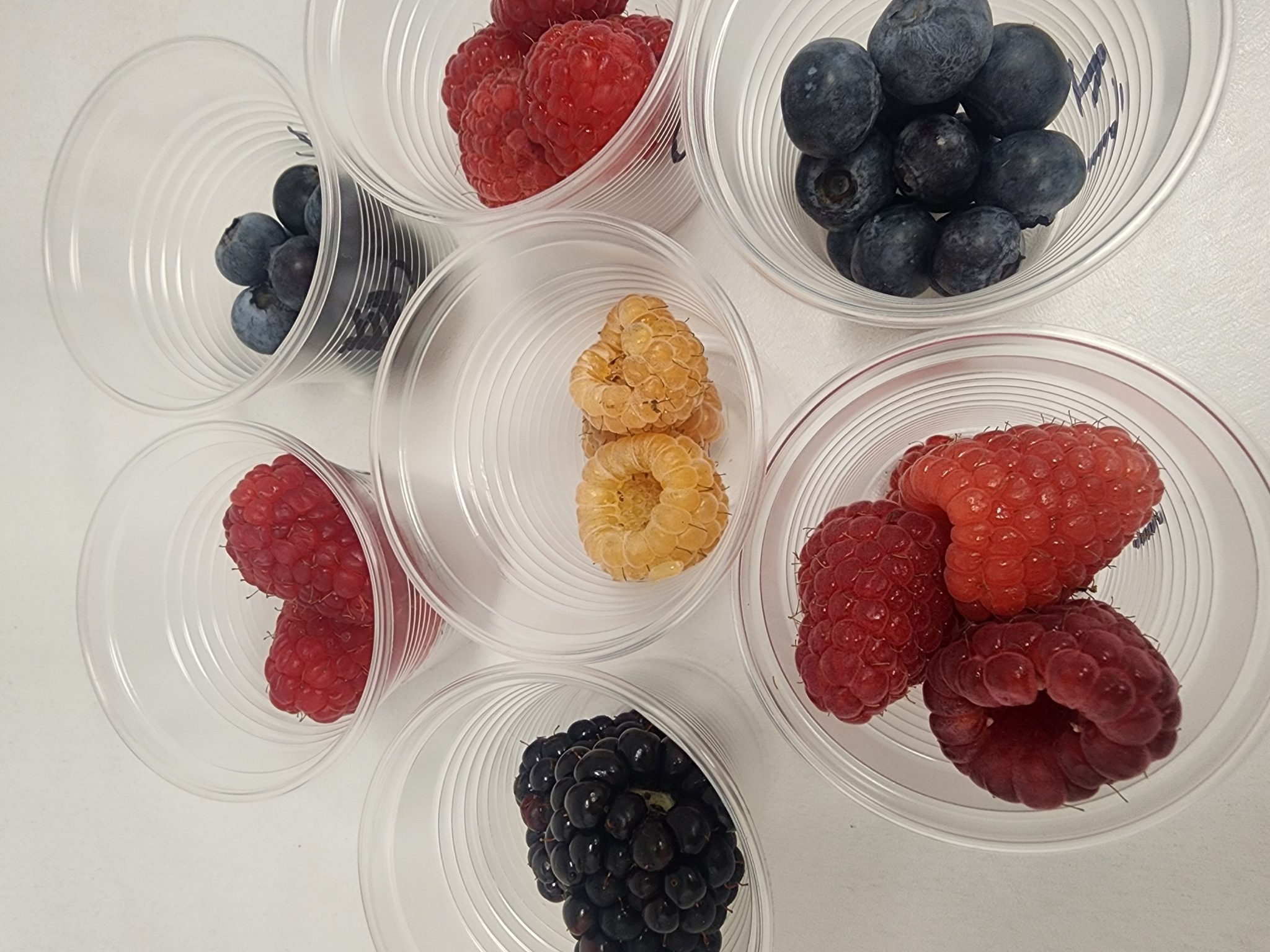 Postharvest Science Archives - Volcani Website