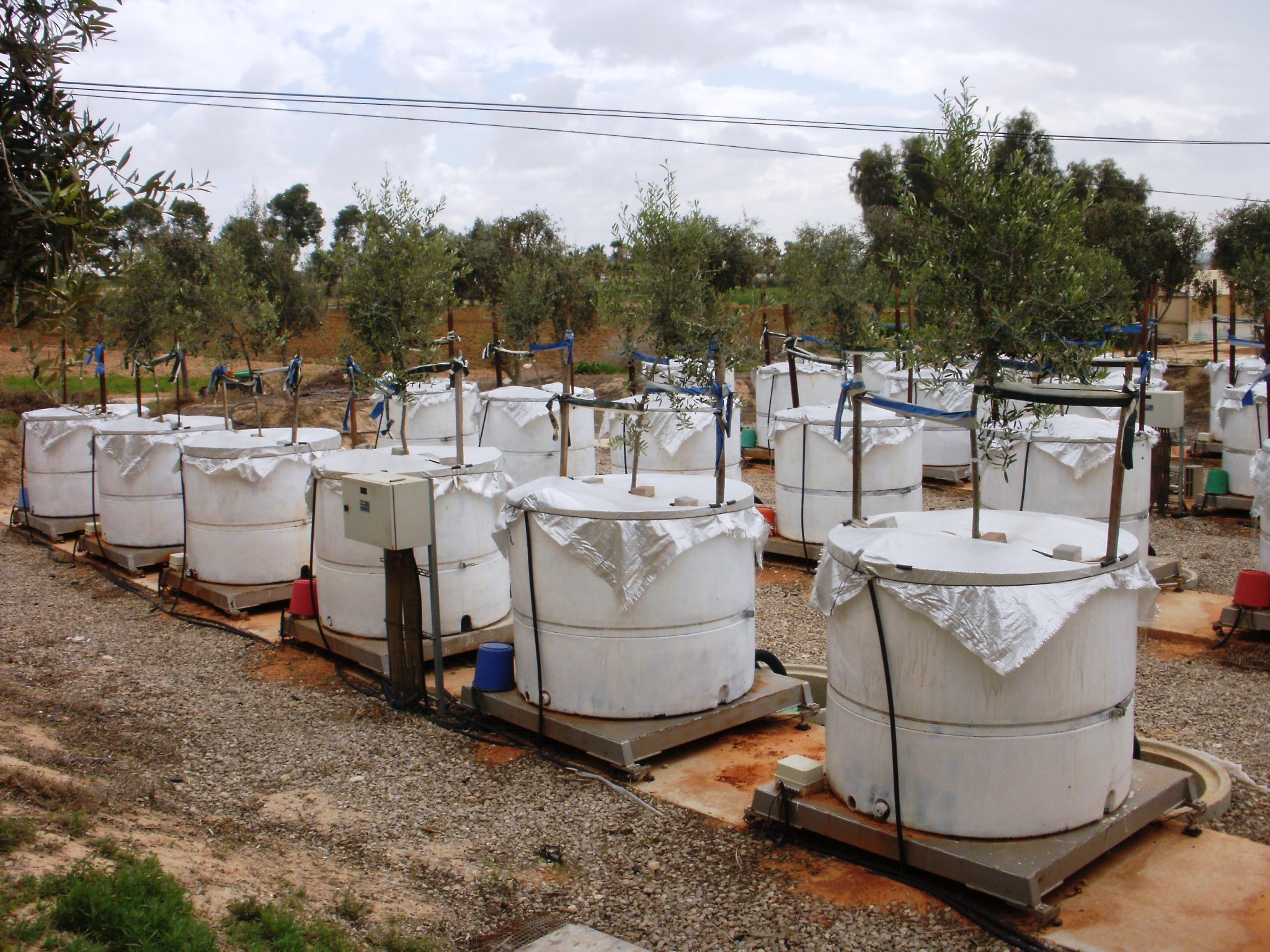 Institute of Soil, Water and Environmental Sciences - Volcani Website