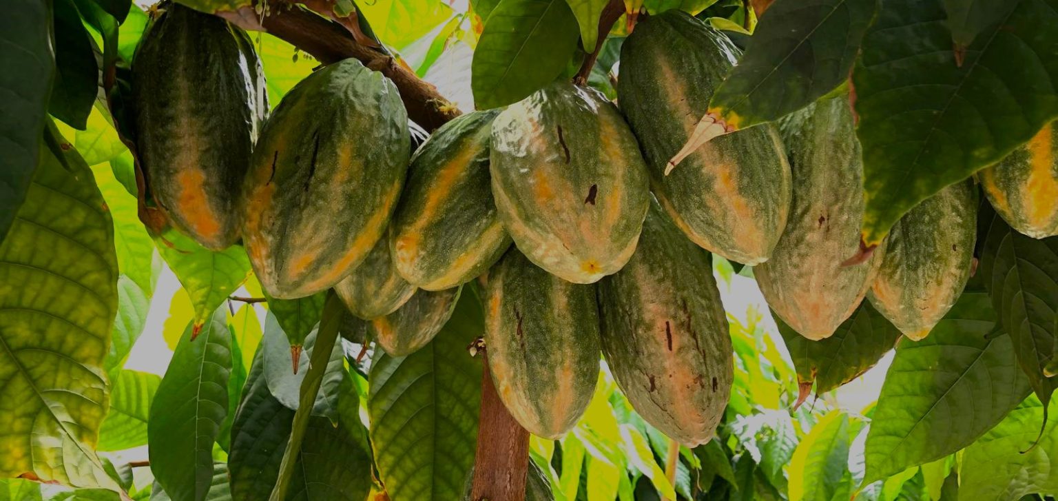 Institute of Soil, Water and Environmental Sciences - Volcani Website