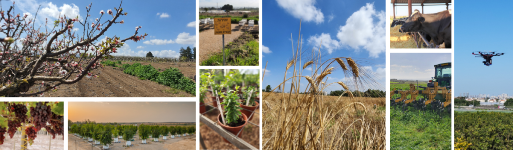 Home - Volcani Website