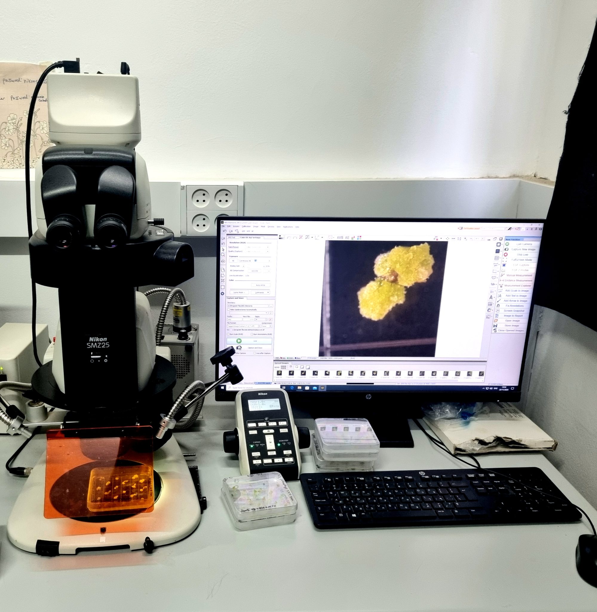 Microscopy - Volcani Website