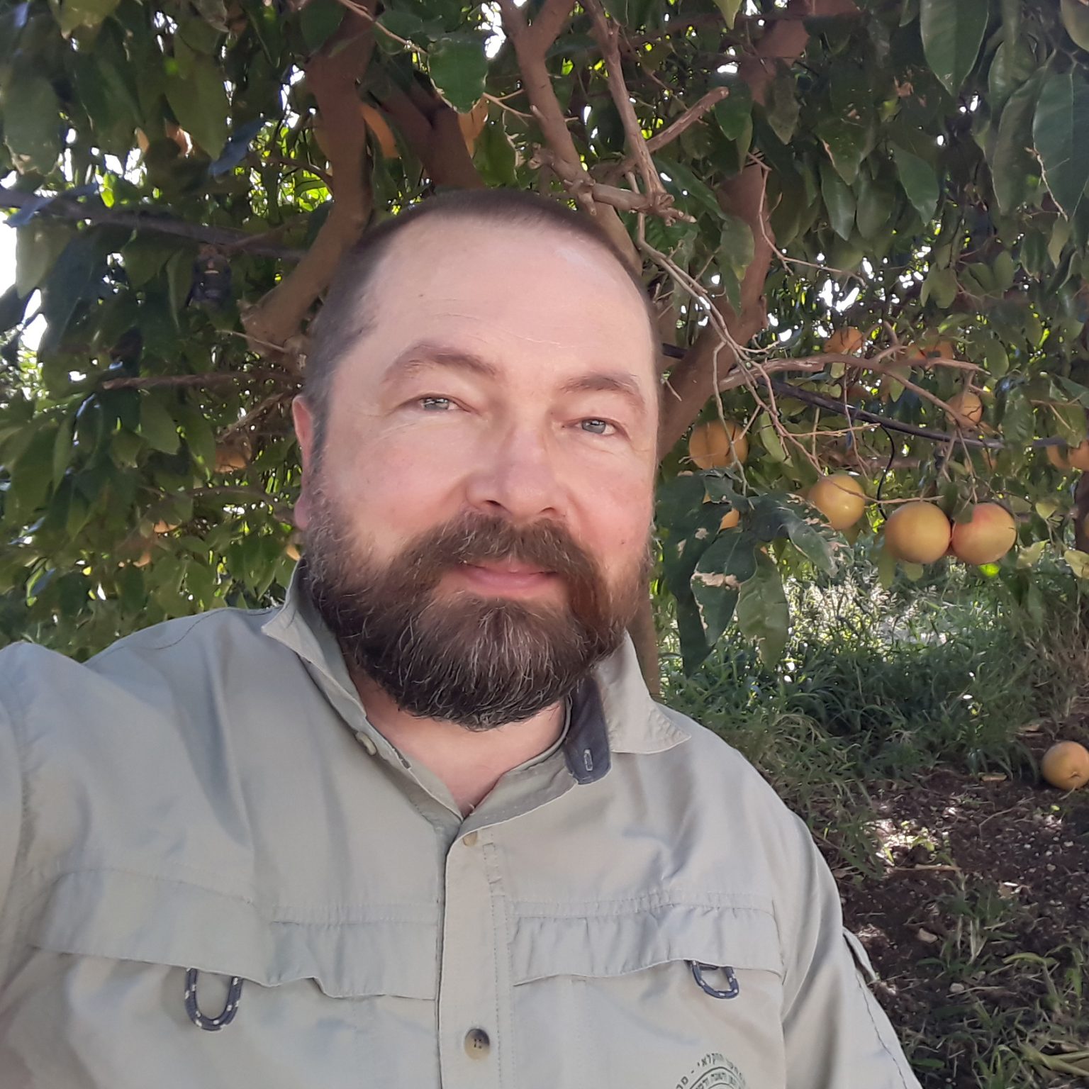 protasov, Author at Volcani Website