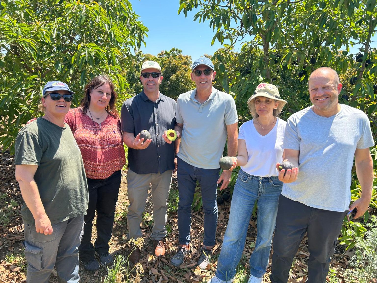 14 research grants! - Volcani Website